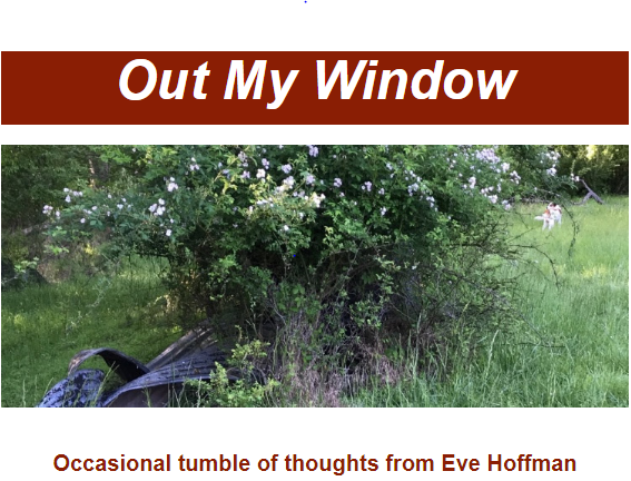 Out My Window Blog | Eve Hoffman -- Poetry & Storytelling